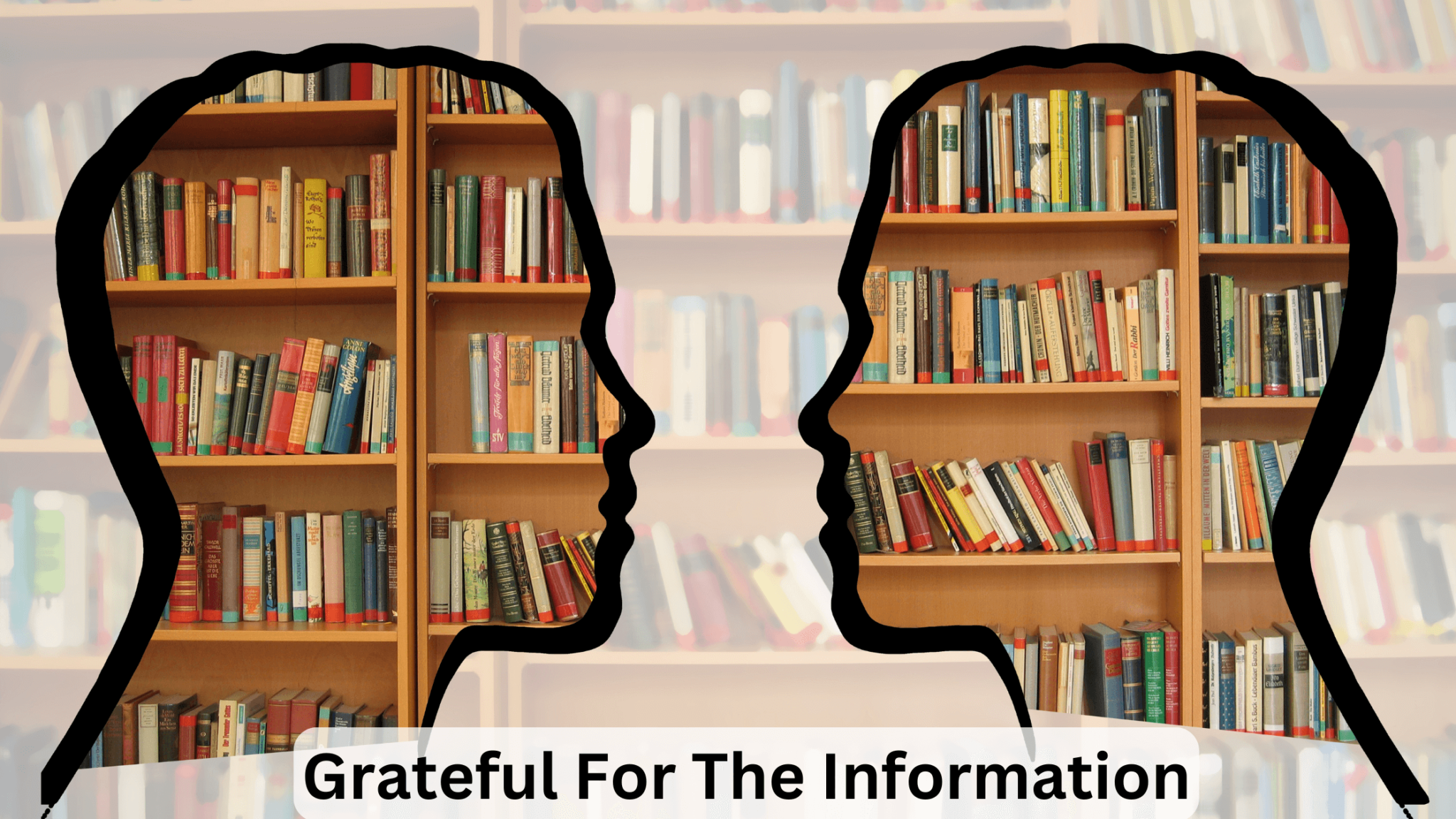 20 Other Ways to Say “Thank You for Clarifying” (With Scenarios)