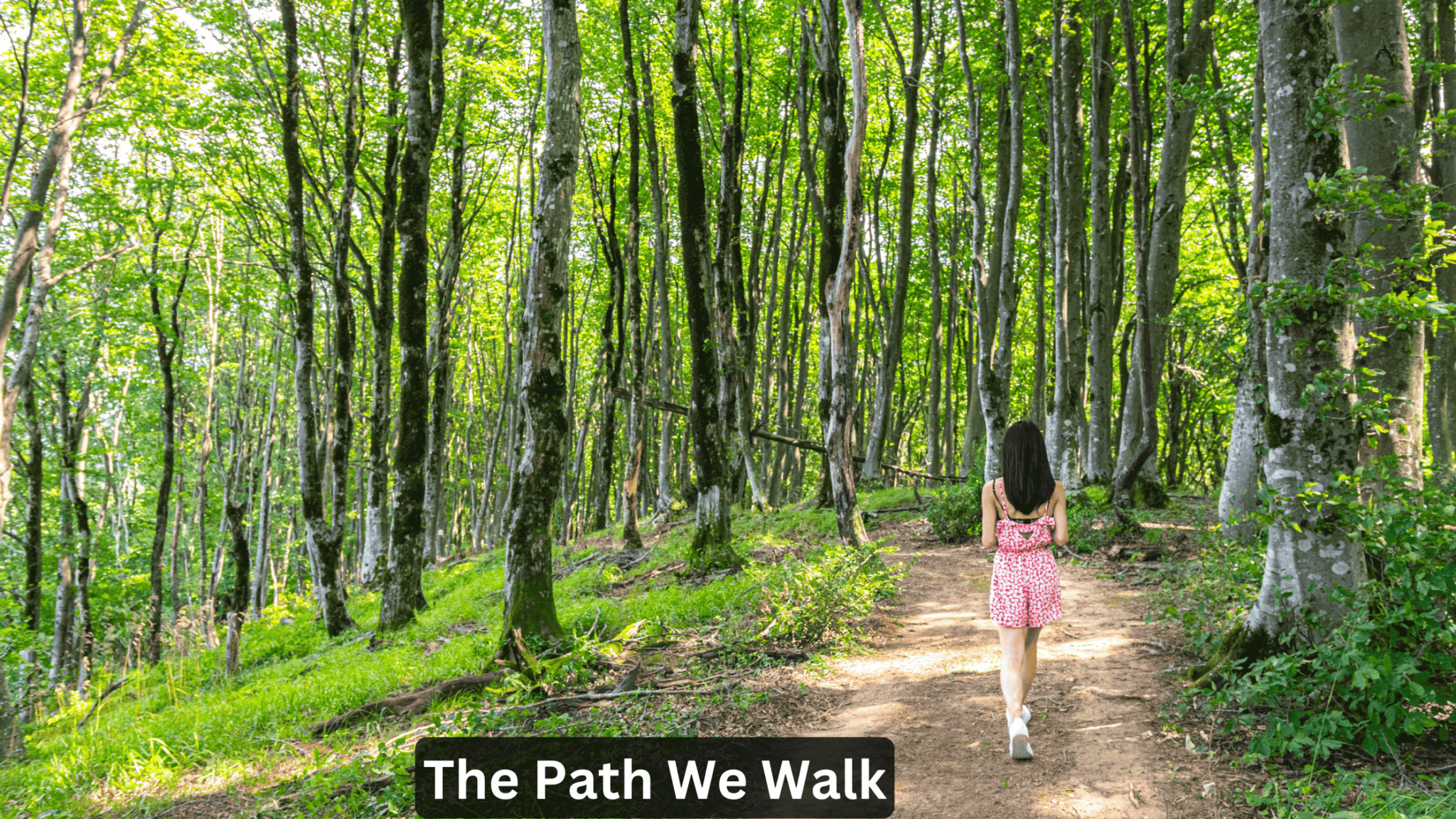 15 Other Ways to Say “How Life Is Like” (With Scenarios)